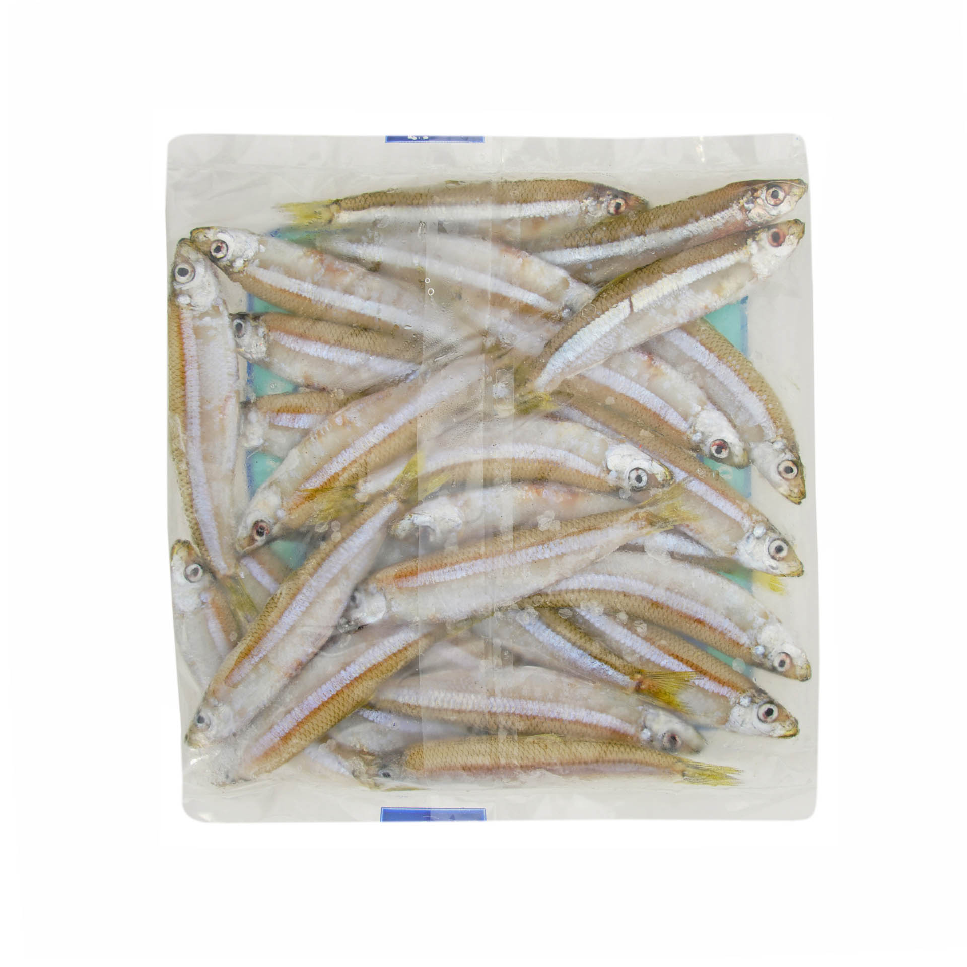 White Pilchards | Tweed Bait